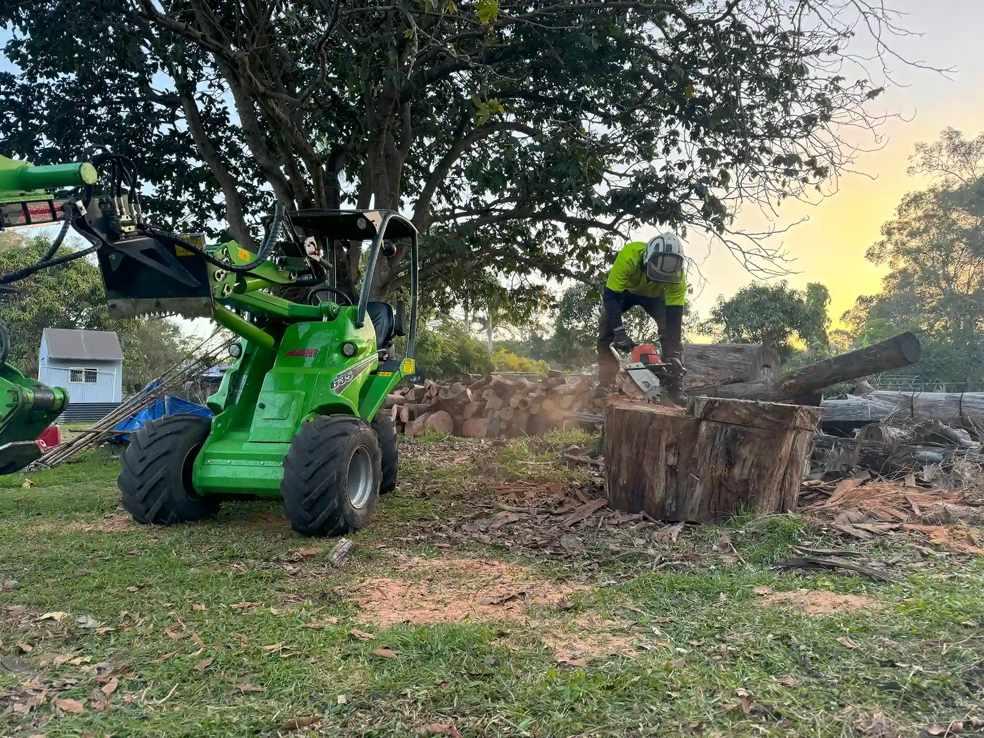 Tree Removal - JCL Tree Services